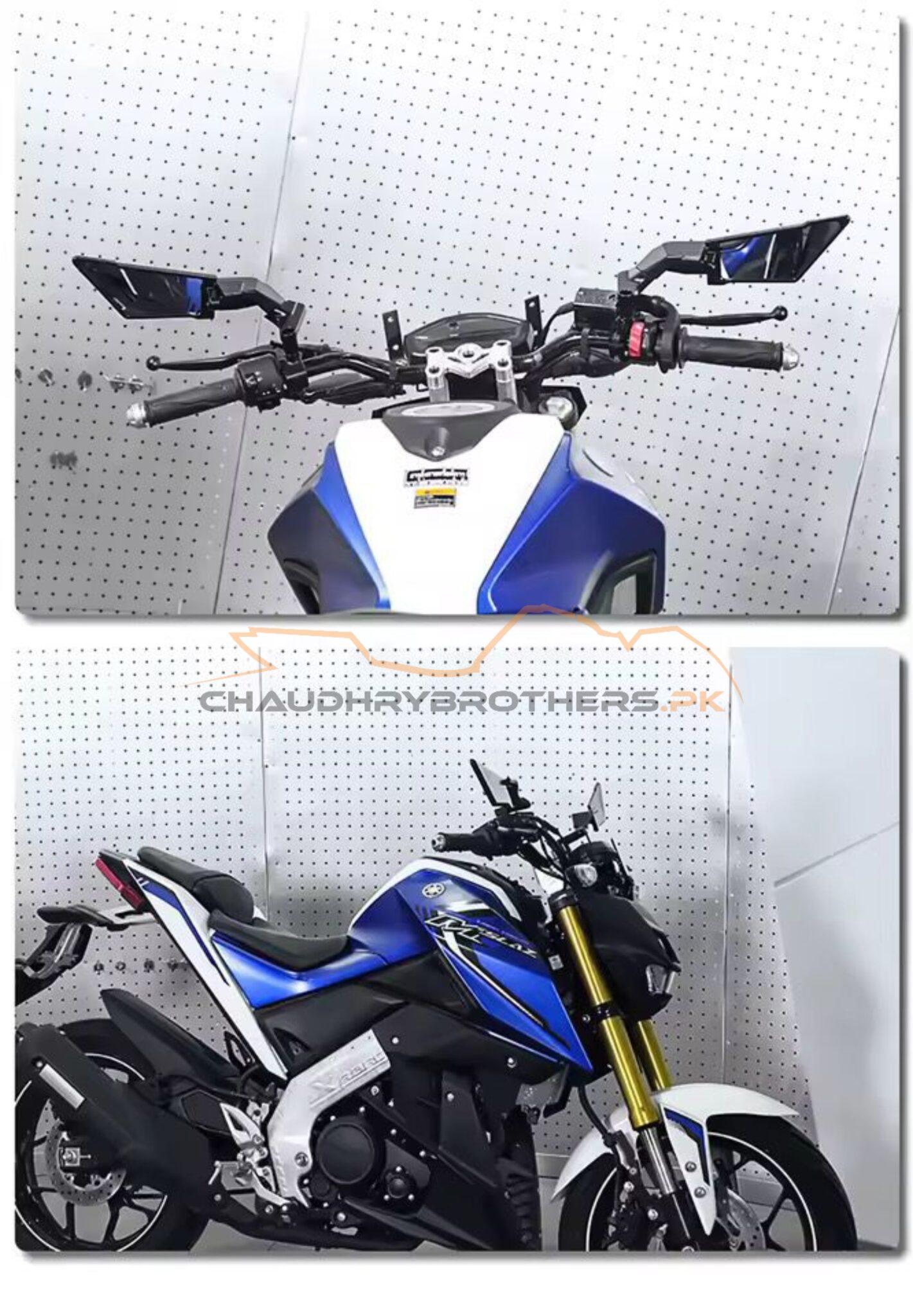 AERODYNAMIC STYLE EAGLE PRINT WIND WINGS MIRRORS (SM-34 ...
